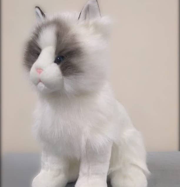 Plush White with Gray Ragdoll Kitten Stuffed Animal by Auswella- Sitti ...